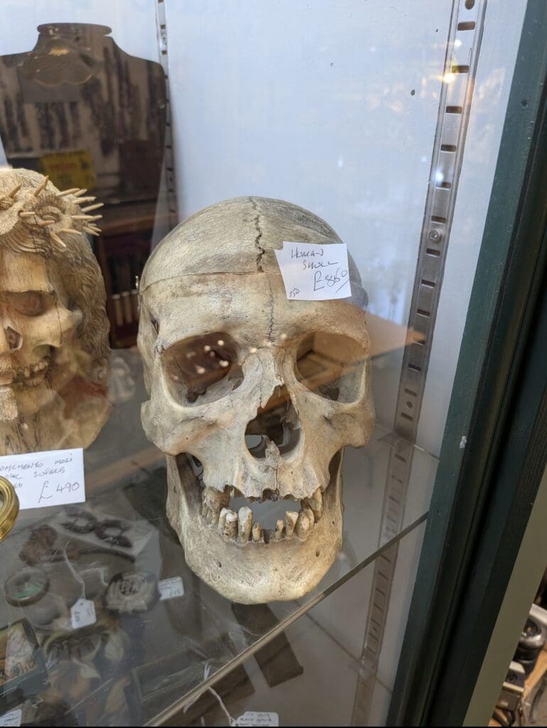 Death dealers: The growing trade in human remains - Dead Curious
